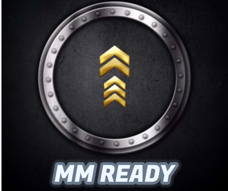 Private Rank 2 Prime Loyalty Badge CSGO Account , MM Ready Account