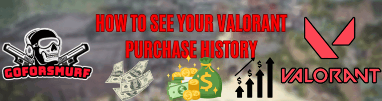 How to see Valorant Purchase History | GoForSmurF